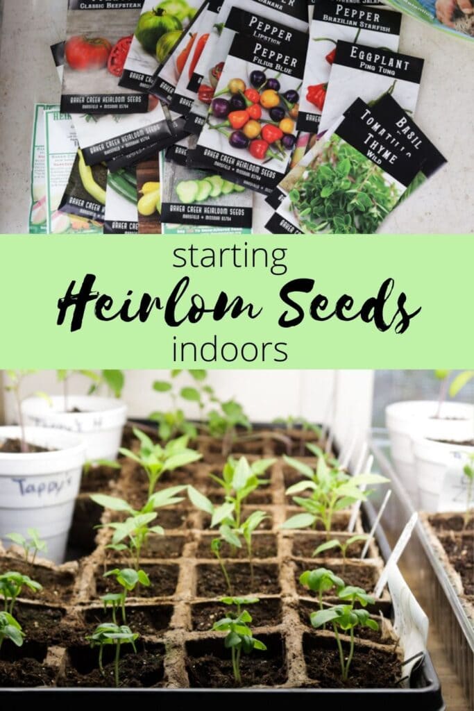 Planting An Heirloom Seed Garden - This Lovely Little Farmhouse